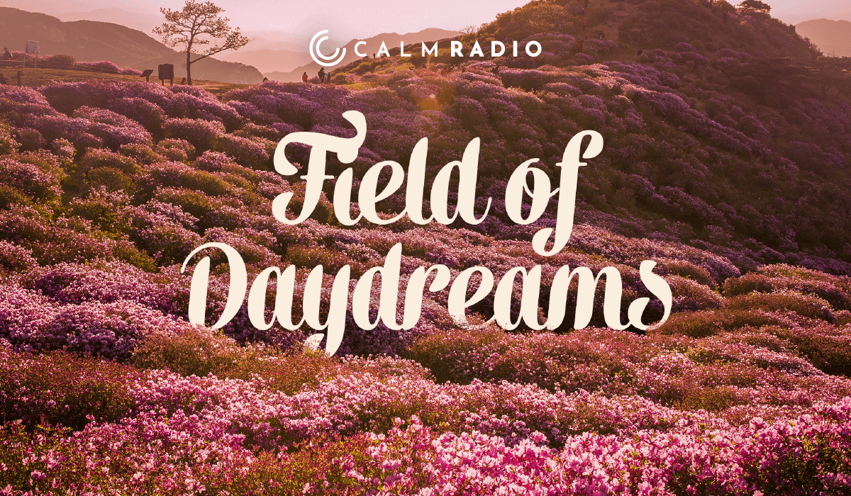 FIELD OF DAYDREAMS